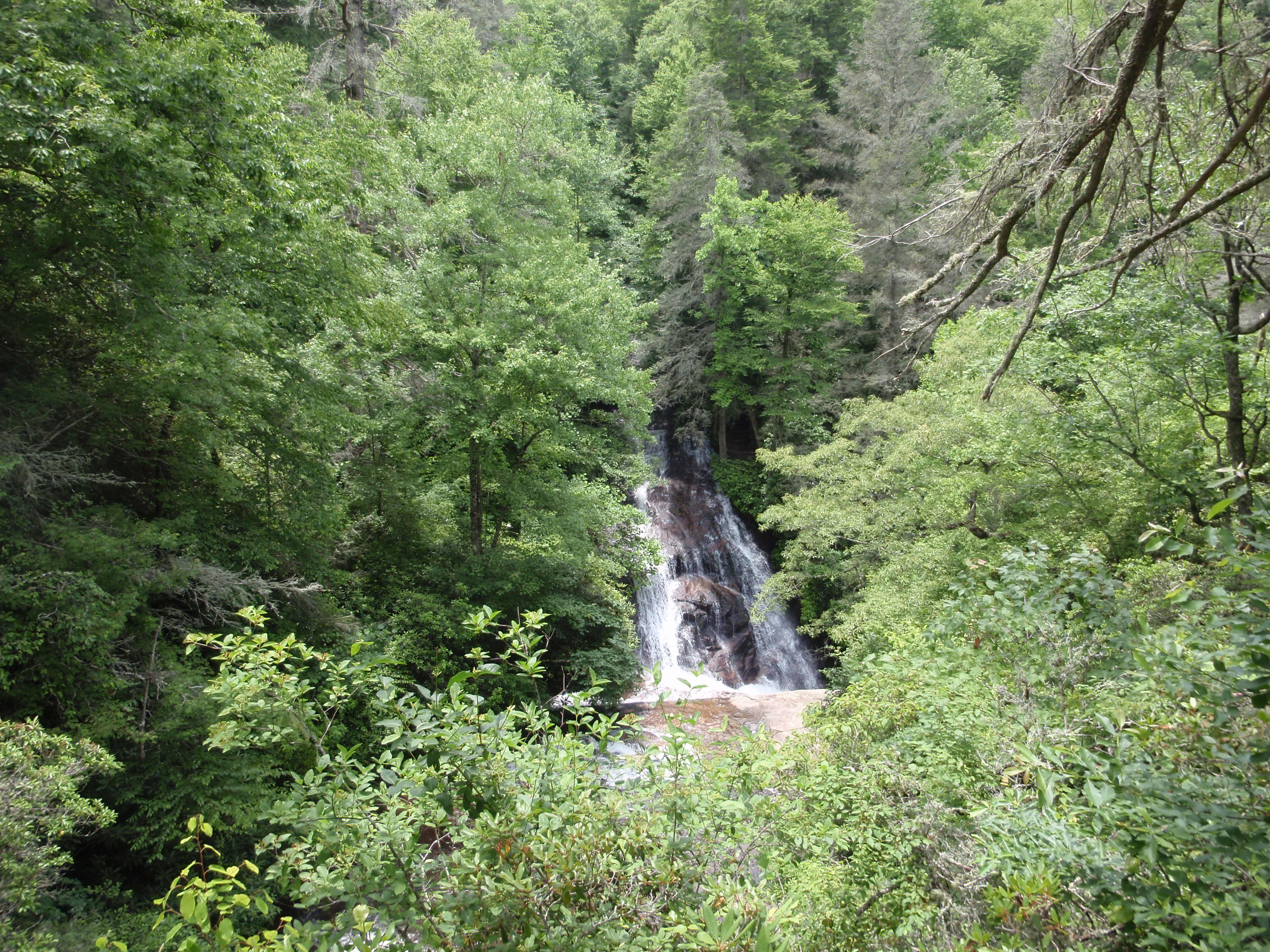 Connestee and Batson Creek Falls – Easy Waterfall Hikes