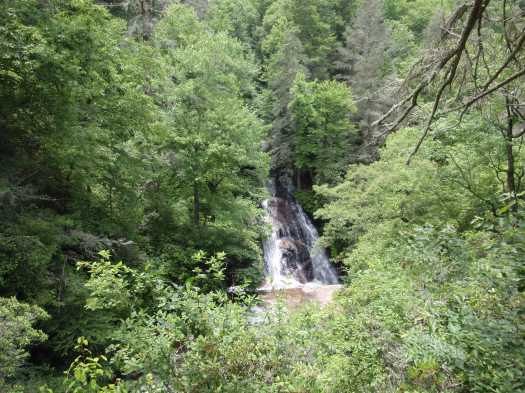 Connestee and Batson Creek Falls – Easy Waterfall Hikes
