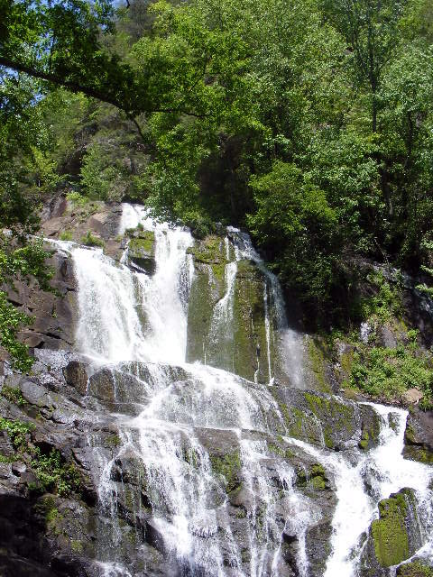 About – Easy Waterfall Hikes