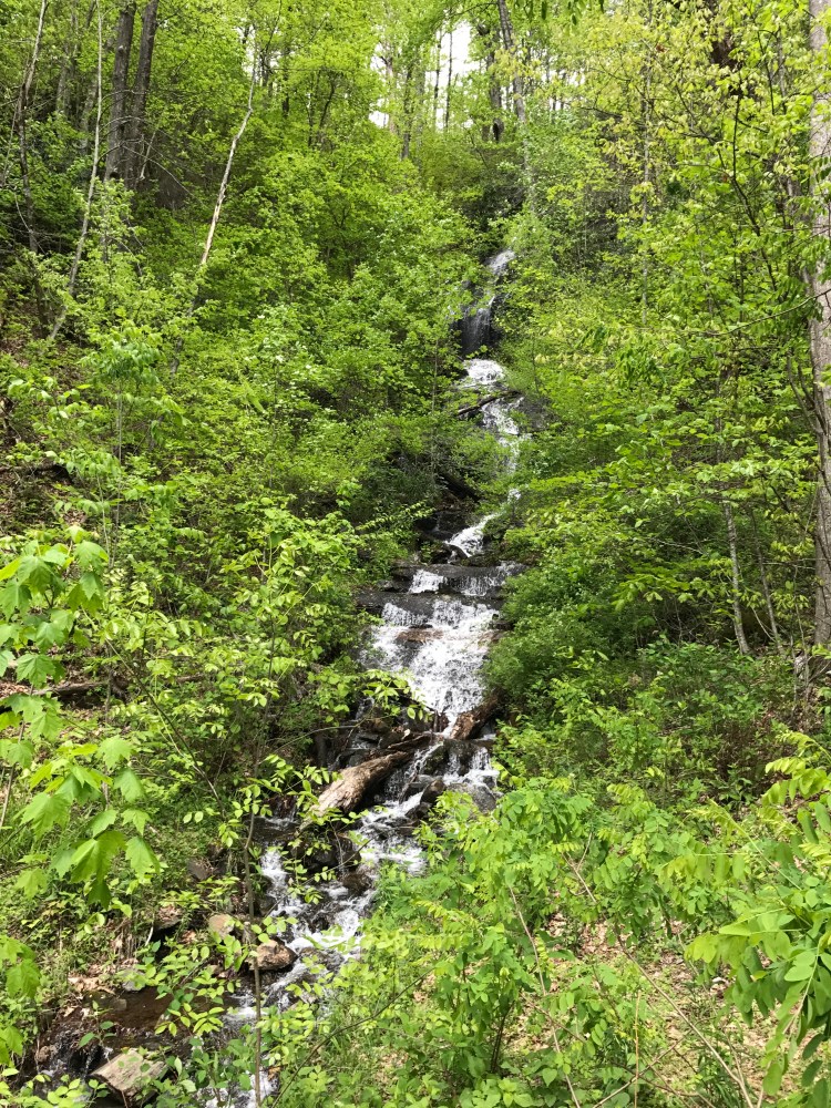 Logging Road Falls – Easy Waterfall Hikes