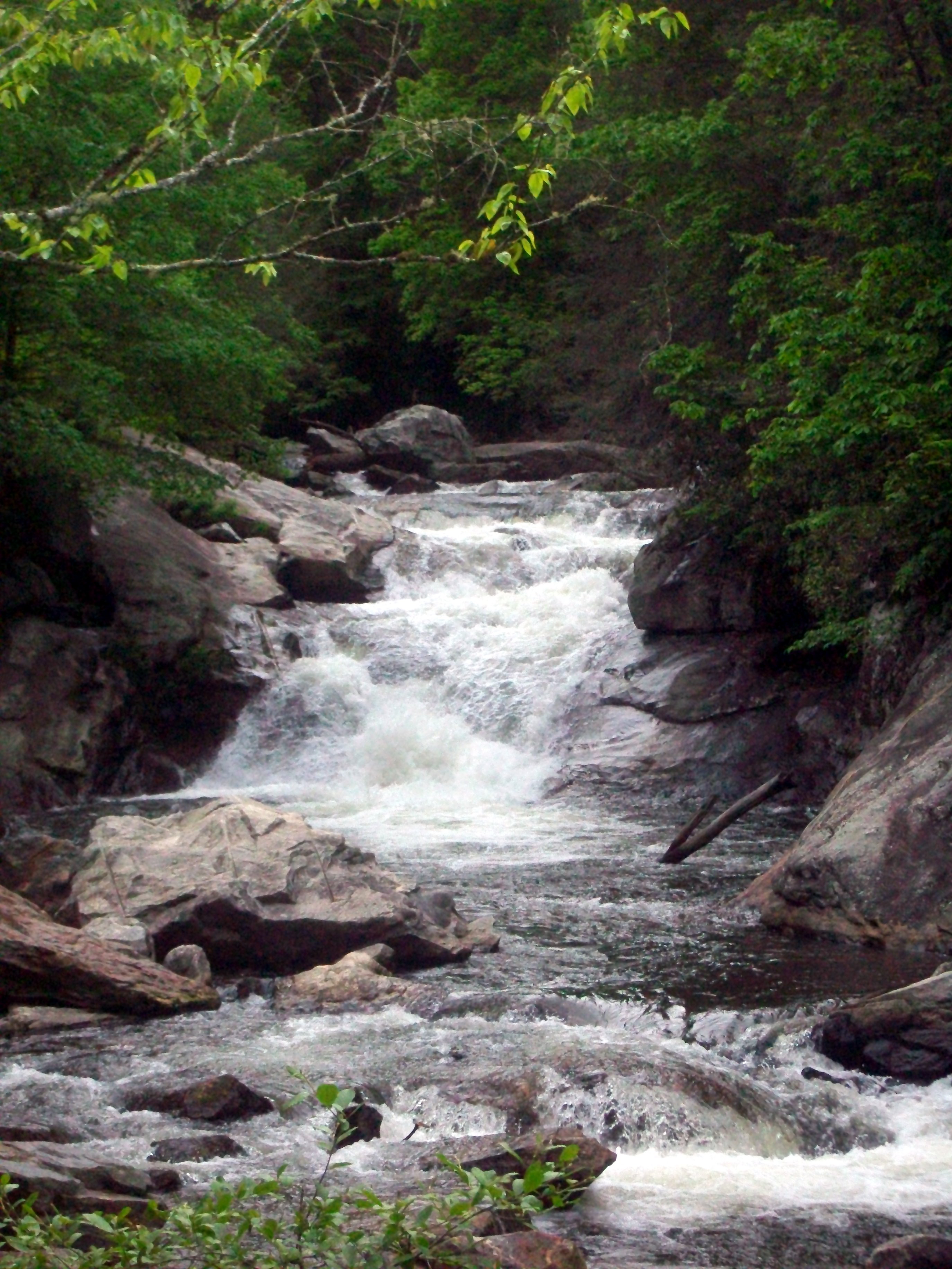 Quarry Falls – Easy Waterfall Hikes