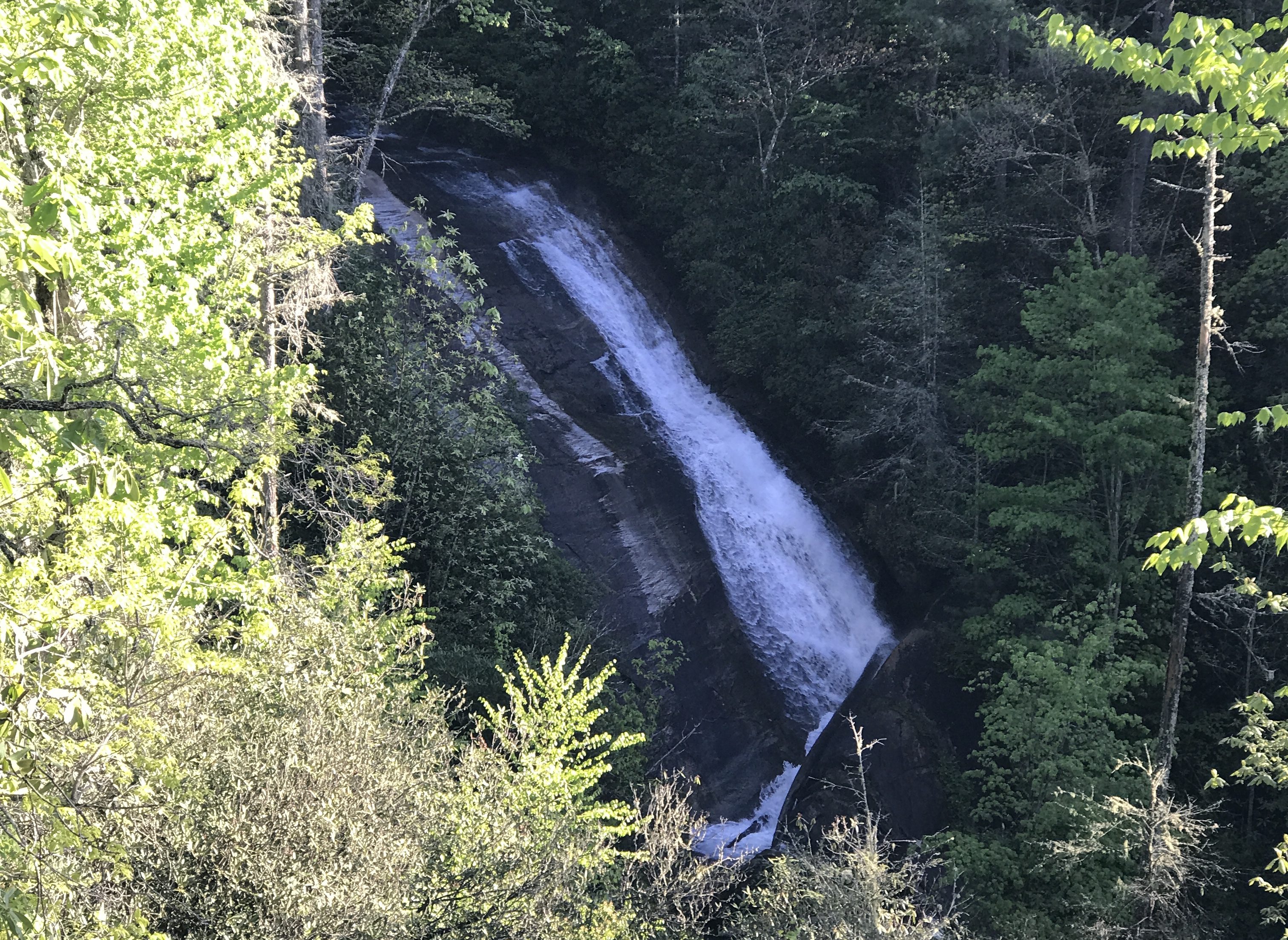Upper Bearwallow Falls – Easy Waterfall Hikes