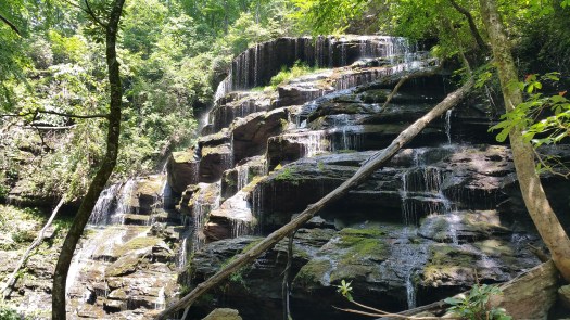 Yellow Branch Falls – Easy Waterfall Hikes