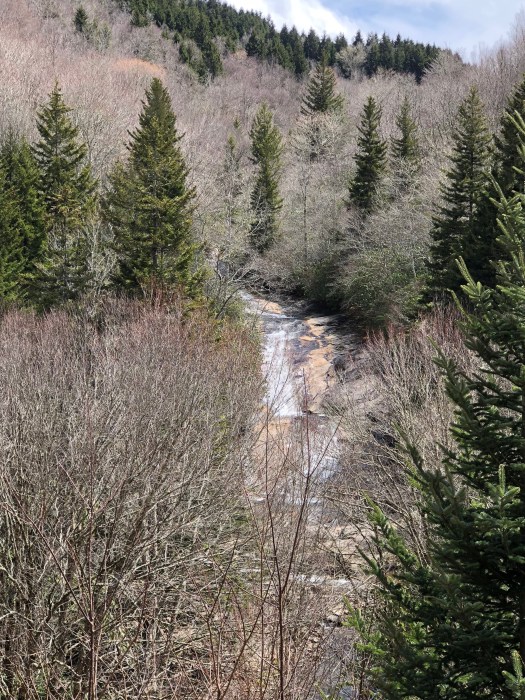 Bubbling Spring Branch Cascades – Easy Waterfall Hikes