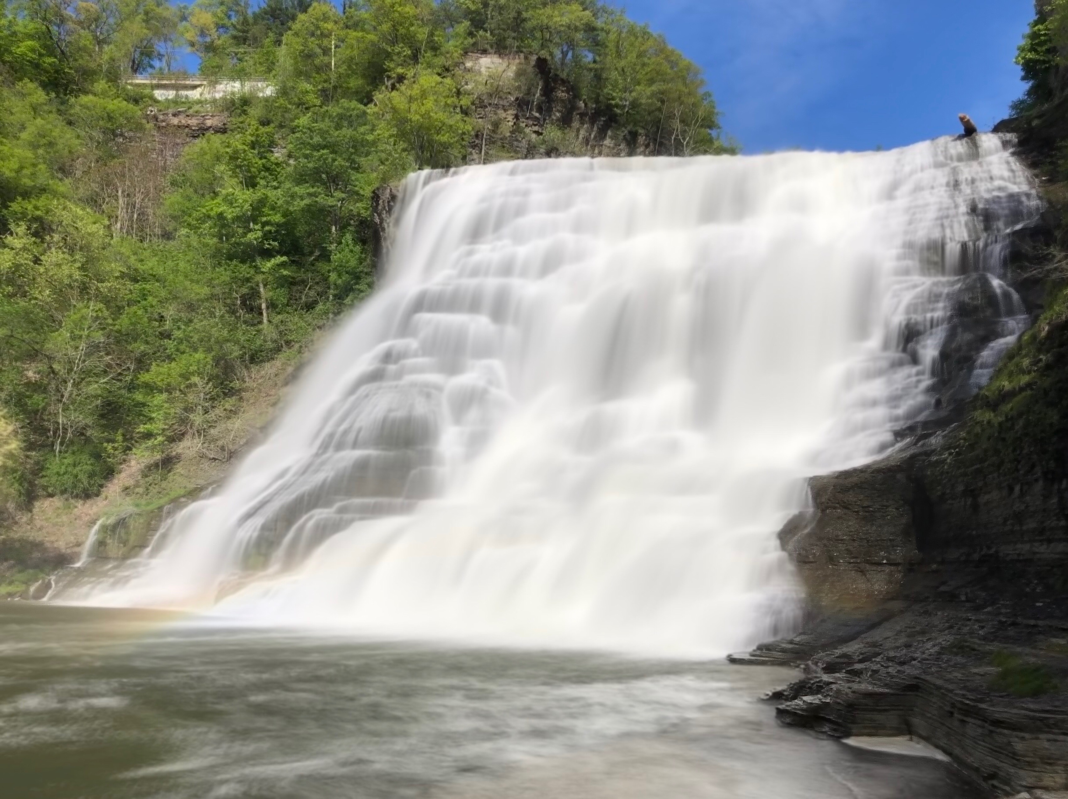 Ithaca Falls – Easy Waterfall Hikes